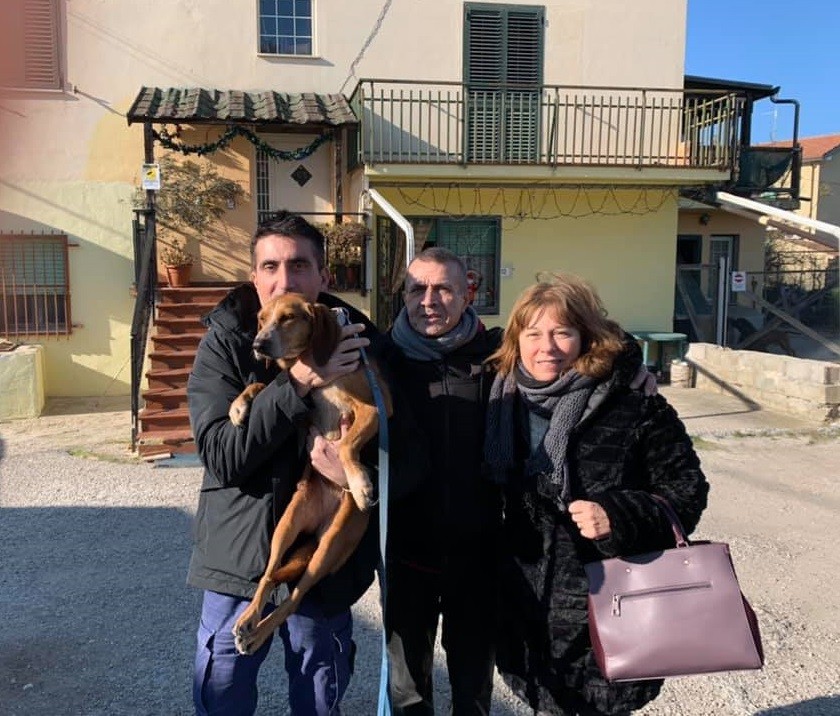 Cagnolina impaurita dai botti di Capodanno scappa di casa, restituita ... Cagnolina impaurita dai botti di Capodanno scappa di casa, restituita ...