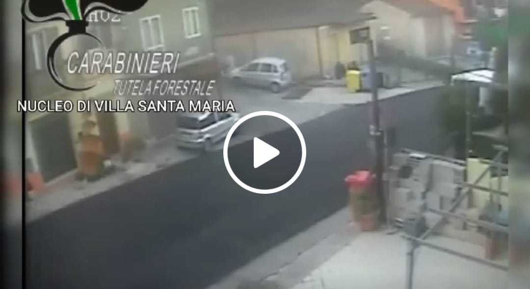 Cane trascinato da auto in corsa con un cappio al collo: salvato dai ...